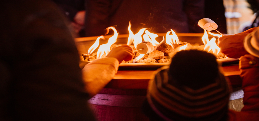 Things to do in Canberra in winter in the school holidays